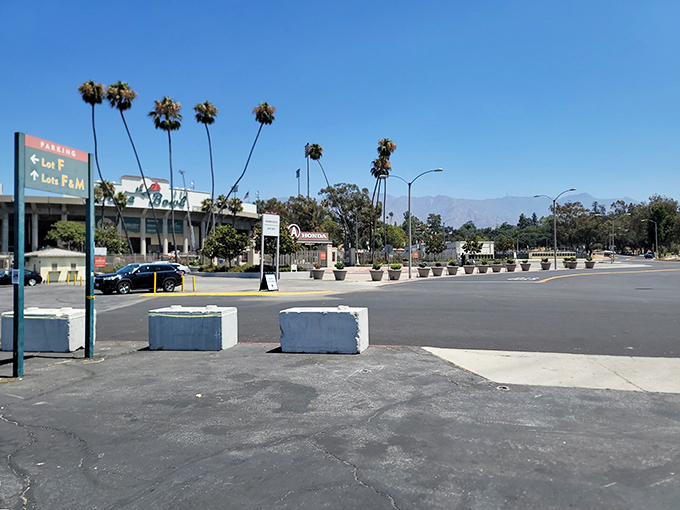 The calm before the shopping storm. Empty parking spaces at the Rose Bowl are as rare during flea market hours as a $5 mid-century credenza.