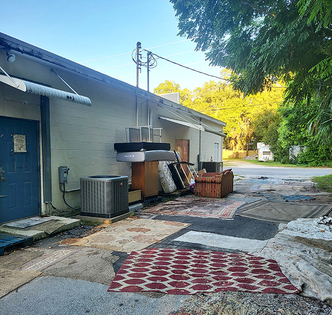 The outdoor overflow area &ndash; where larger items catch Florida sunshine while awaiting adoption. That red patterned rug has stories to tell.