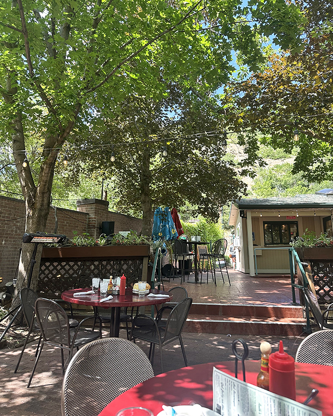 Dappled sunlight filtering through trees creates nature's perfect dining canopy. Utah's outdoor dining at its most enchanting and serene.
