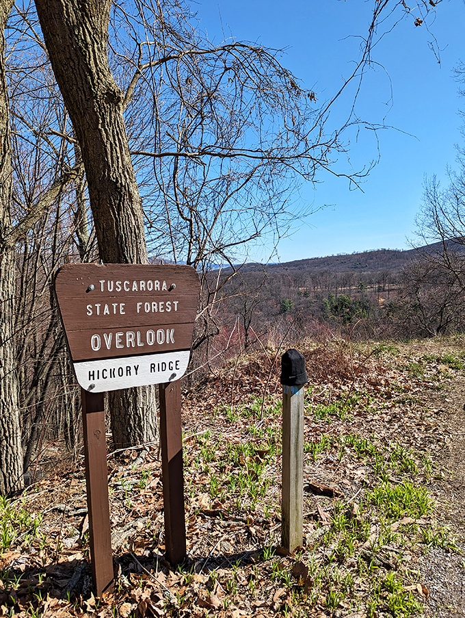 Tuscarora State Forest Overlook offers views that no smartphone panorama can truly capture. Hickory Ridge reveals Pennsylvania's rolling beauty in 3D.