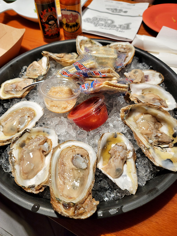 Fresh oysters on ice &ndash; nature's perfect appetizer. These briny treasures from the deep are like getting a kiss from the ocean itself.