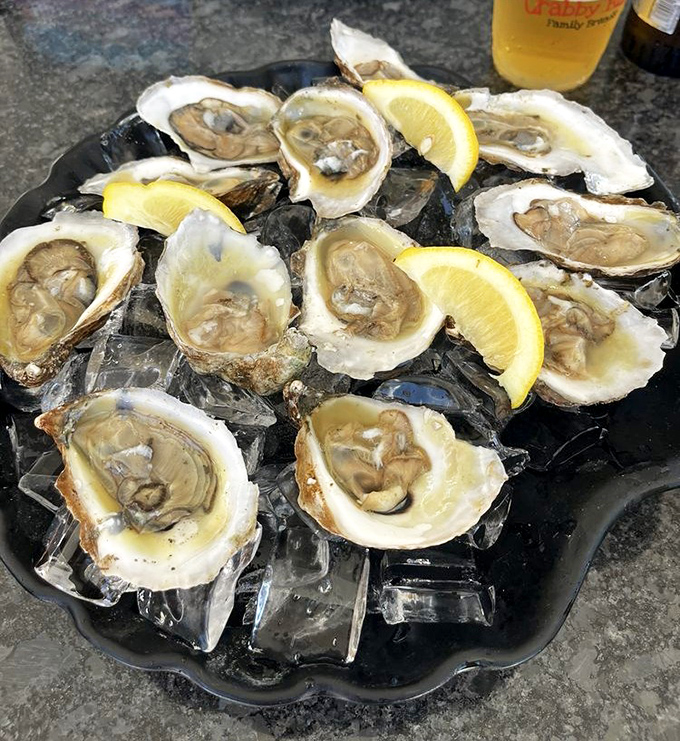 Fresh oysters on the half shell &ndash; nature's perfect appetizer, requiring nothing more than a squeeze of lemon and a moment of appreciation.