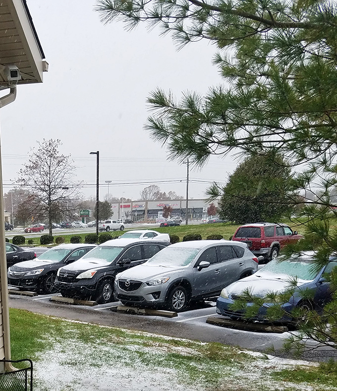 Even in snow, the parking lot stays busy. Delaware residents know that comfort food is even more essential in inclement weather.