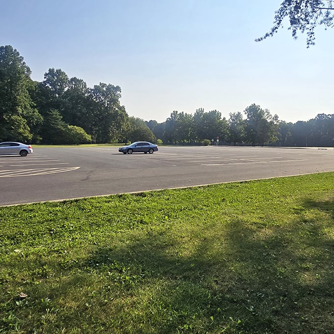The least exciting photo of the most necessary amenity. Without this parking lot, your nature adventure would be a very long walk.