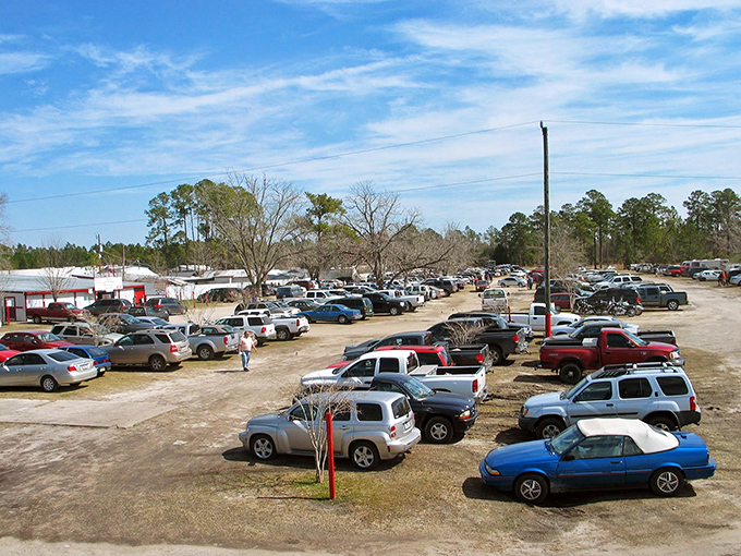 Treasure hunter parking only! Each vehicle represents someone on a quest for that perfect find they didn't know they needed.