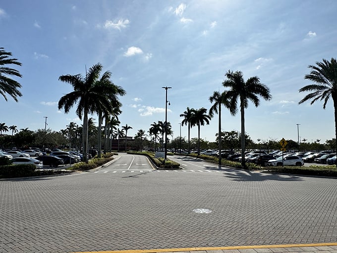 Palm-lined parking creates that quintessential Florida welcome, where your shopping adventure begins and your trunk space ends.