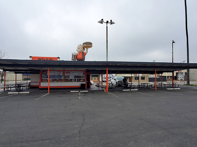 Even on cloudy days, Wilkin's stands ready to serve&mdash;a beacon of comfort food consistency in an ever-changing culinary landscape.