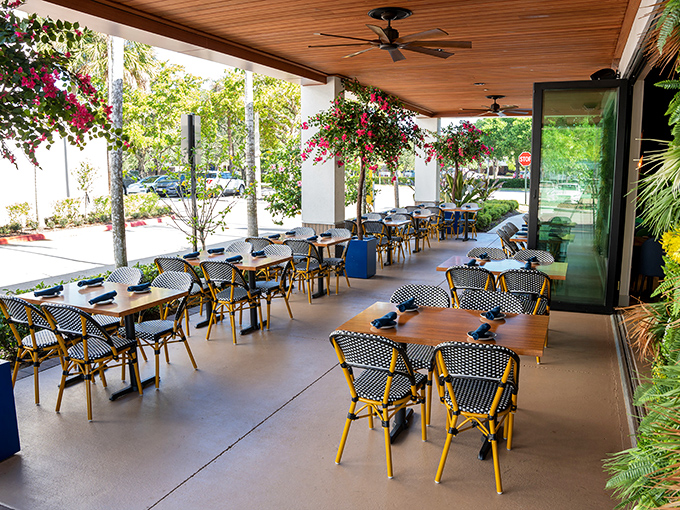 The outdoor patio offers al fresco dining under Florida skies, where those signature blue and yellow chairs invite leisurely meals.