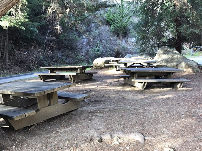Picnic tables where lunch tastes better than any five-star restaurant. The secret ingredient? That view you can't stop staring at.