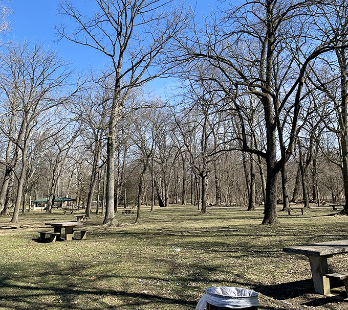Winter reveals the garden's bones&mdash;a reminder that even in dormancy, there's beauty in the promise of spring's return.