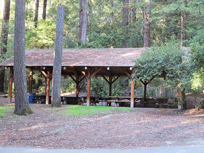 Where lunch transforms from routine sustenance into a dining experience with the world's most impressive ceiling.