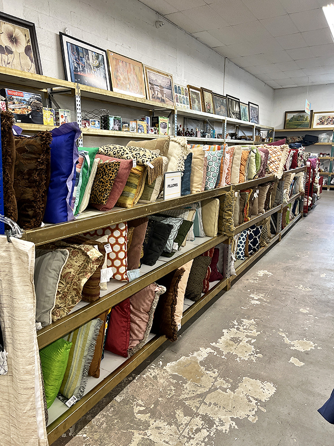 Pillow paradise&mdash;because nothing says "I've redecorated" faster than swapping cushions that cost less than your morning latte.