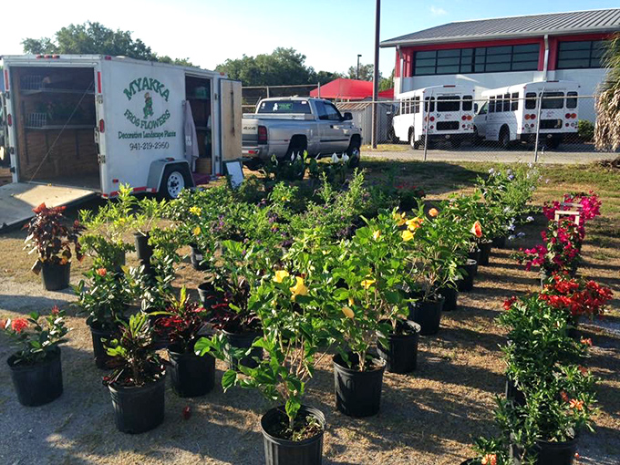 Green thumbs rejoice&mdash;these plants have been Florida-tested and are ready for their next backyard adventure.