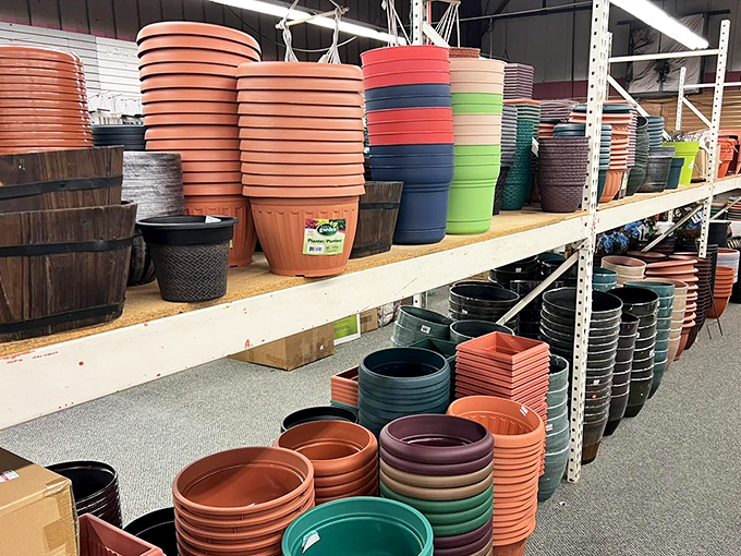 Plant pots to grow your garden dreams without planting yourself in debt.