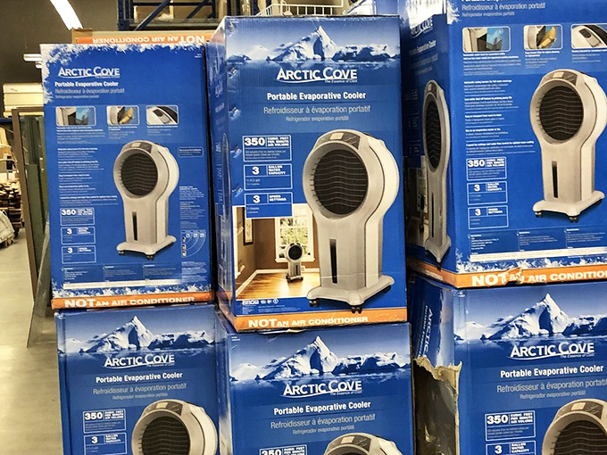 Desert dwellers know the value of good cooling - these portable units deliver comfort affordably.