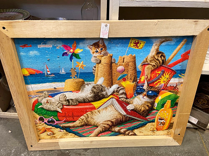 Beach-loving cats immortalized in a completed puzzle, framed and ready to bring whimsy to someone's wall. Meow-velous find!