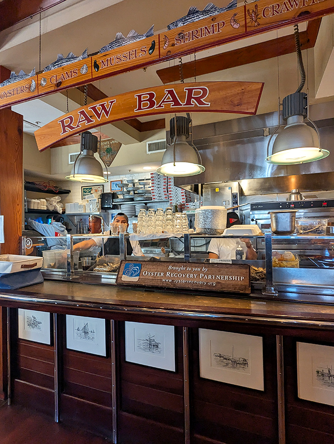 The raw bar proudly announces its treasures – oysters, clams, mussels, shrimp, and crawfish – like a delicious roll call of ocean delights.