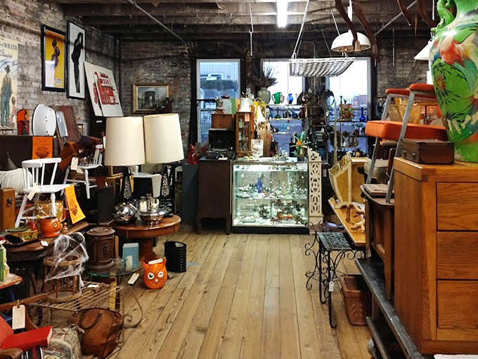 Warm wooden floors lead the eye through this corridor of curiosities, where vintage furniture and display cases create a museum-like experience for everyday explorers.
