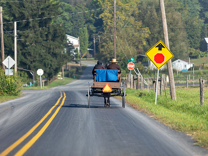 The slow vehicle sign isn't a warning&mdash;it's an invitation to reconsider your own pace. Life lessons from the back of an Amish buggy. 