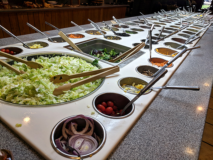 The salad bar stretches toward the horizon like a vegetable superhighway. Self-control, prepare to exit immediately.