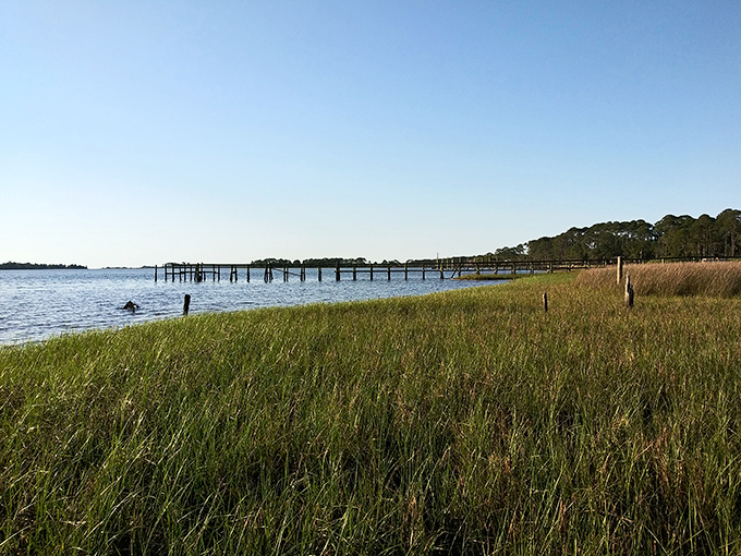 Salt marshes where land and water negotiate their boundaries daily&mdash;nature's filtering system and nursery for countless marine species.