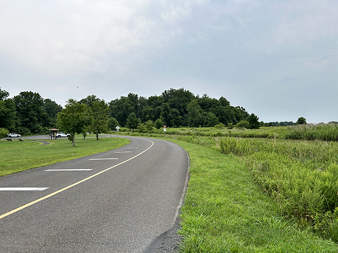 The park's paved entrance road invites cyclists and walkers &ndash; a gentle curve leading into verdant wilderness.
