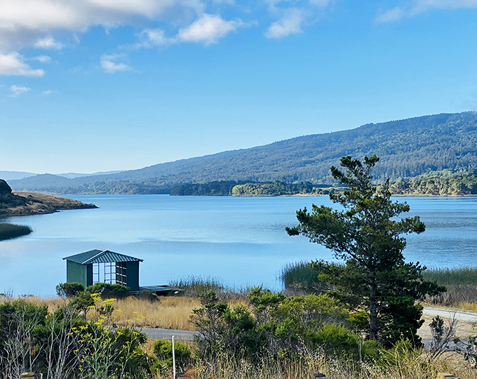 Reflective moment: This serene reservoir view offers the kind of peaceful perspective that expensive therapy sessions strive to achieve.