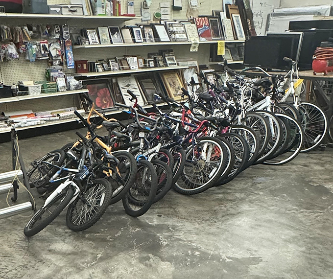 Two-wheeled freedom machines ready for second chances at creating new adventures and exercise routines.