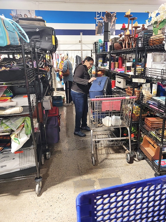 Serious shoppers in their natural habitat, hunting for that perfect find. The thrill of the thrift chase is a universal language spoken fluently here.