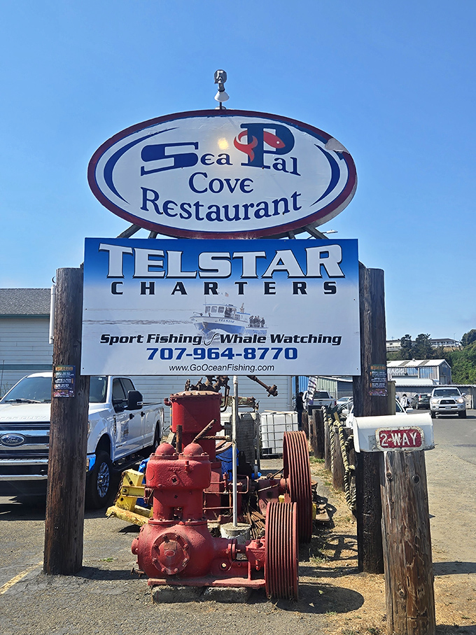 The sign promises not just a meal but an entire coastal experience&mdash;sport fishing, whale watching, and seafood that was swimming this morning.