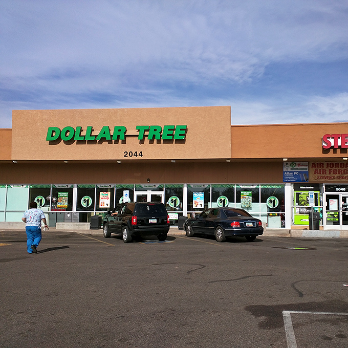 Morning shoppers making their pilgrimage to the green-signed sanctuary of savings. The parking lot fills early with bargain-hunting veterans.