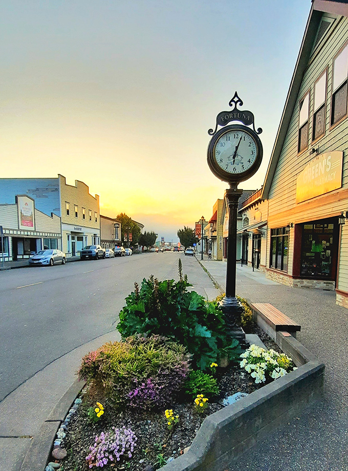 Fortuna's downtown clock and carefully tended flower beds speak volumes about a town that still believes in civic pride and public beauty.