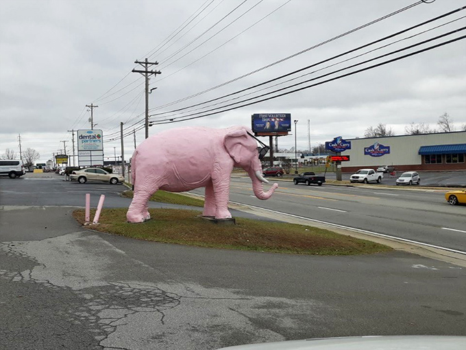 From the road, Ellie serves her purpose perfectly &ndash; an unexpected burst of pink that makes drivers do a double-take and reach for their camera phones.