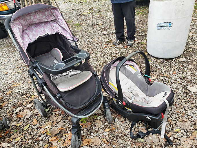Today's bargain: gently used baby transportation system! Someone's outgrown chariot awaits its next tiny passenger for adventures around Michigan neighborhoods.