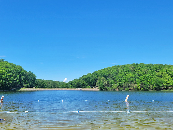 Greenbrier State Park's crystal waters offer a refreshing escape just minutes from downtown &ndash; nature's own swimming pool amid Maryland's greenery.