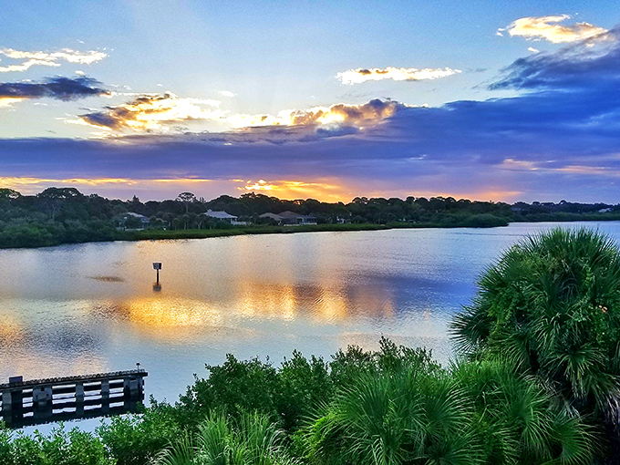 Golden hour reflections on Lemon Bay paint the water with liquid sunshine. Nature's happy hour requires no reservations and comes with unlimited views.