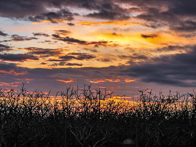 Central Valley sunsets put on a daily light show that no big-city entertainment can match &ndash; nature's free gift to Huron residents.