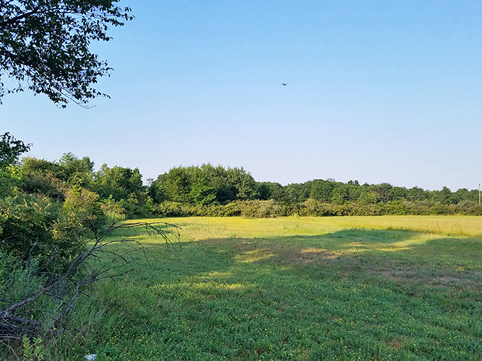 During daylight hours, the empty field hints at the movie magic that will unfold after sunset.
