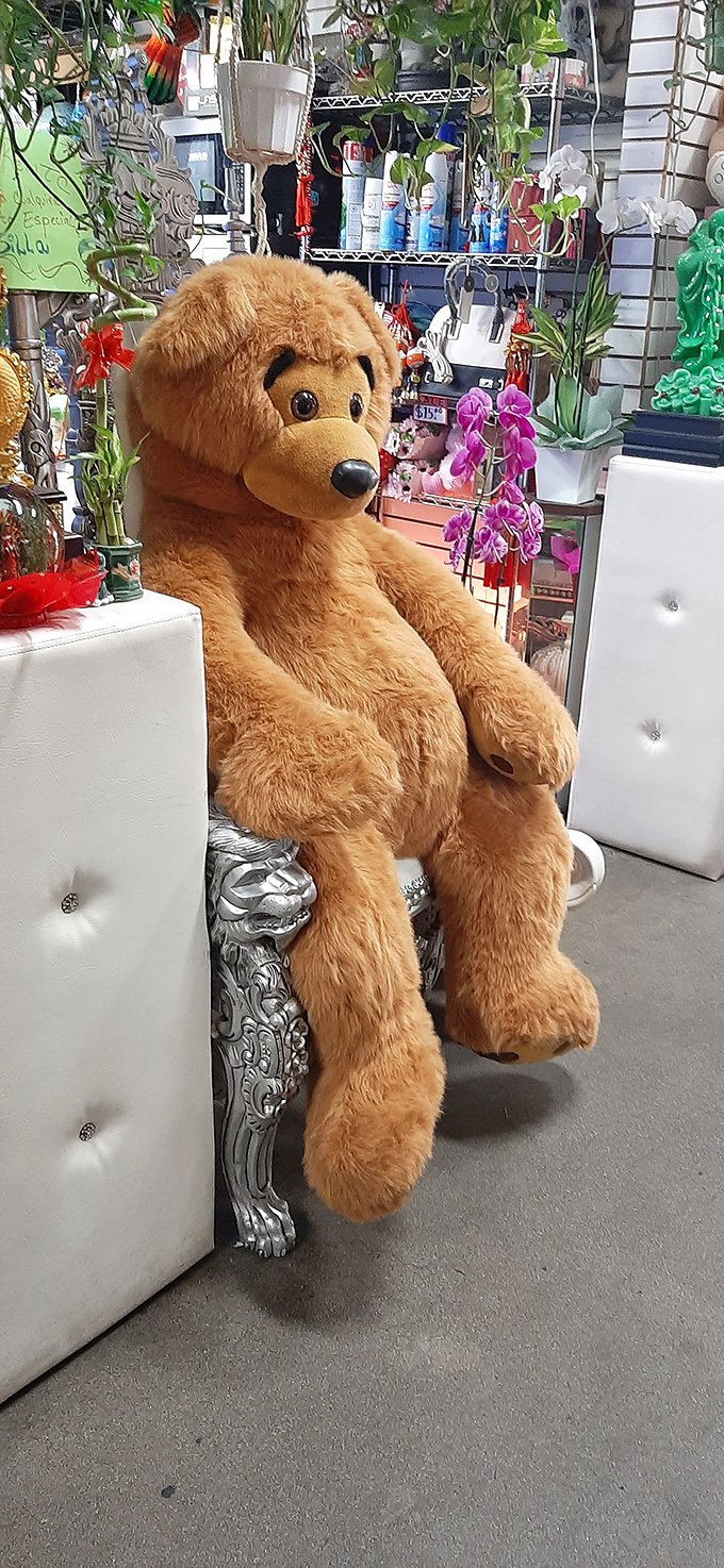 This giant teddy bear has seen things. Sitting like a furry philosopher, he's either judging your purchases or waiting for his forever home.