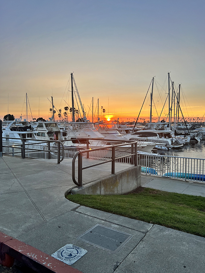 Mother Nature showing off at sunset, painting the marina in golden hues. Even the boats seem to be nodding in approval of this daily California spectacle.