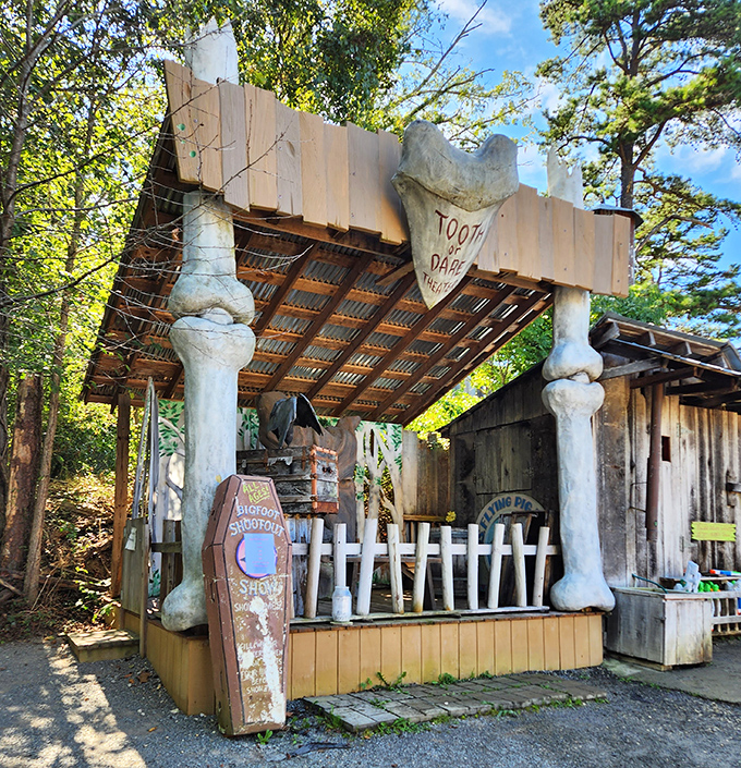"Tooth or Dare" shooting gallery combines giant dinosaur bones, carnival games, and the Wild West in one gloriously bizarre attraction.