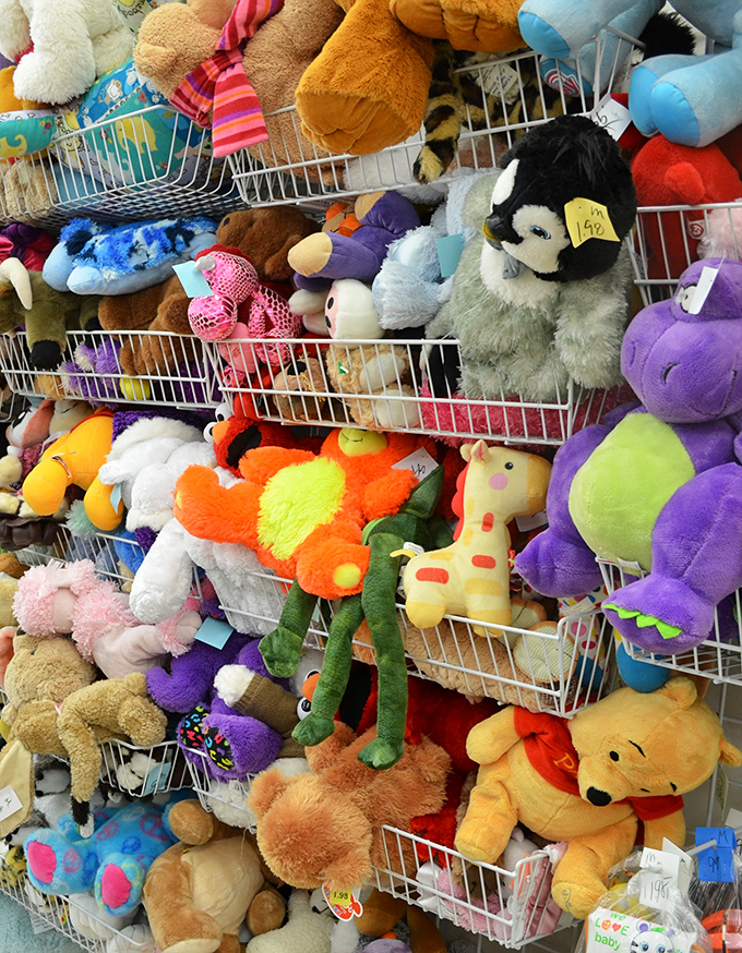 Stuffed animals gathered like a fuzzy congregation, each one hoping for a new home.