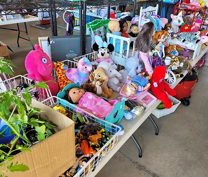Stuffed animal adoption center! These gently-loved toys wait patiently for their second chance at being someone's cherished companion, no paperwork required.