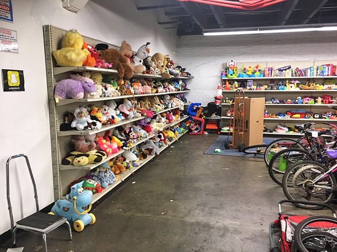 Stuffed animal adoption center! These plush pals, once loved and now seeking new homes, create a rainbow wall of cuddly potential.