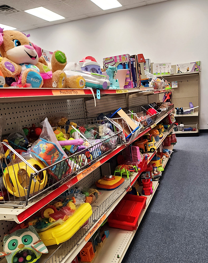 The toy section: where childhood memories get recycled for a new generation. That smiling plush friend is ready to become someone's new bedtime companion. 