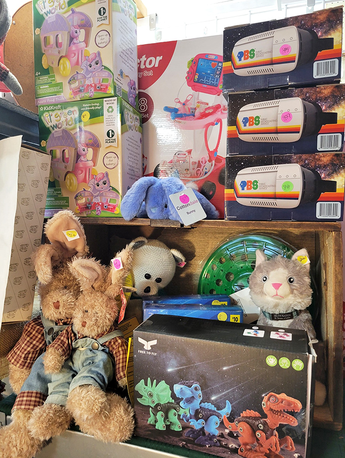 Stuffed animals and dinosaur kits sharing shelf space like an adorable toy store time capsule. Childhood joy without the modern price tag.