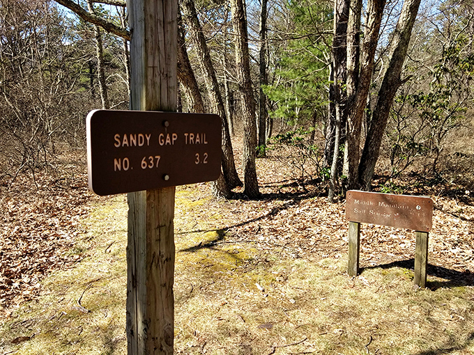 Trail markers pointing to adventures both challenging and rewarding. Sandy Gap Trail: where cell service fades and real connections begin.