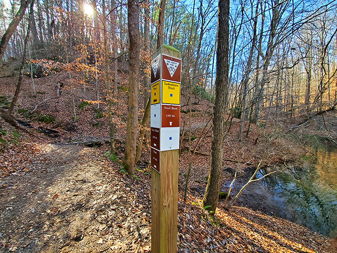 Trail markers: the unsung heroes preventing your "quick nature walk" from becoming an episode of "Survivor: Virginia Edition."