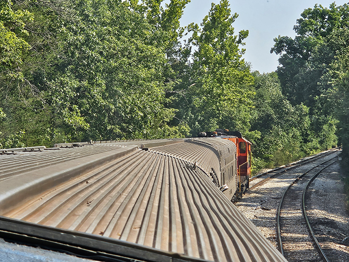 The rhythmic pattern of vintage steel roofing creates a mesmerizing silver ribbon that snakes through the Ozark wilderness. Industrial poetry in motion.