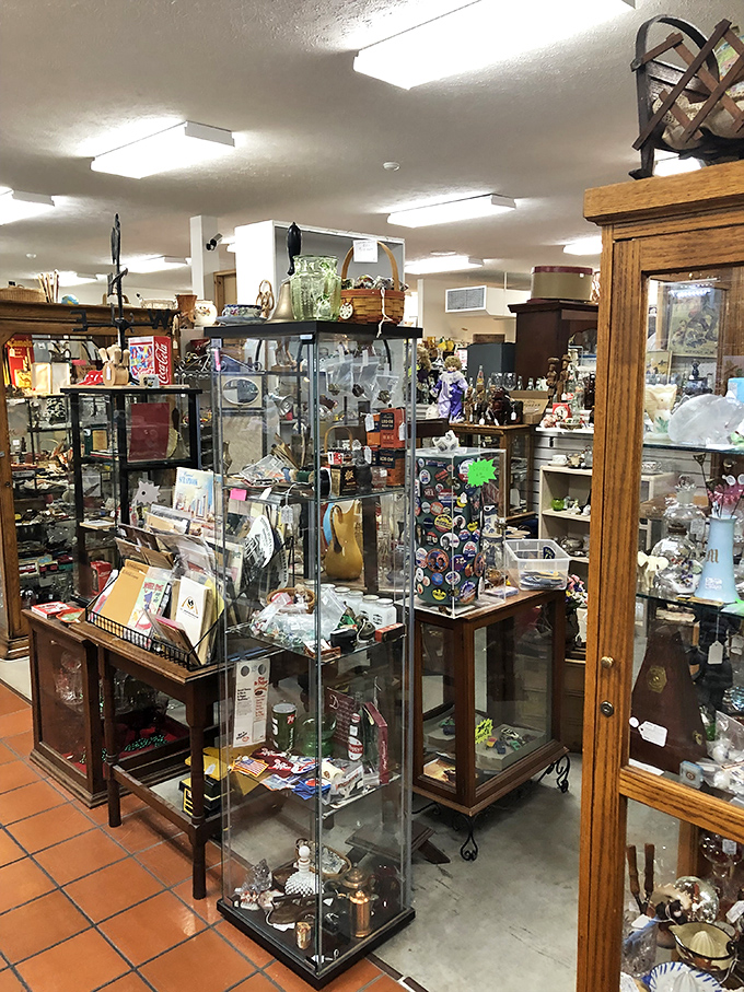 Every glass case contains dozens of small stories&mdash;tiny treasures that survived decades of spring cleanings to find new appreciation here.